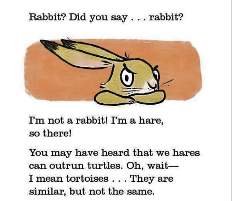 I’M A HARE, SO THERE! | Kathy apRoberts