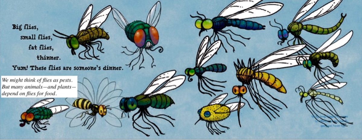 13 WAYS TO EAT A FLY | Kathy apRoberts