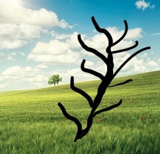 SEEKING SOLUTIONS, EXPLORING PATTERNS | Kathy apRoberts