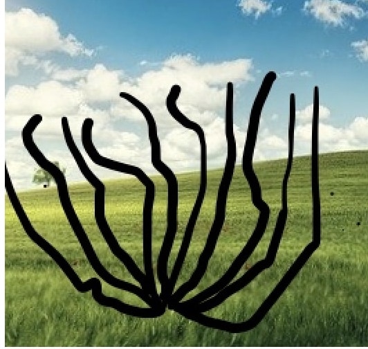 SEEKING SOLUTIONS, EXPLORING PATTERNS | Kathy apRoberts