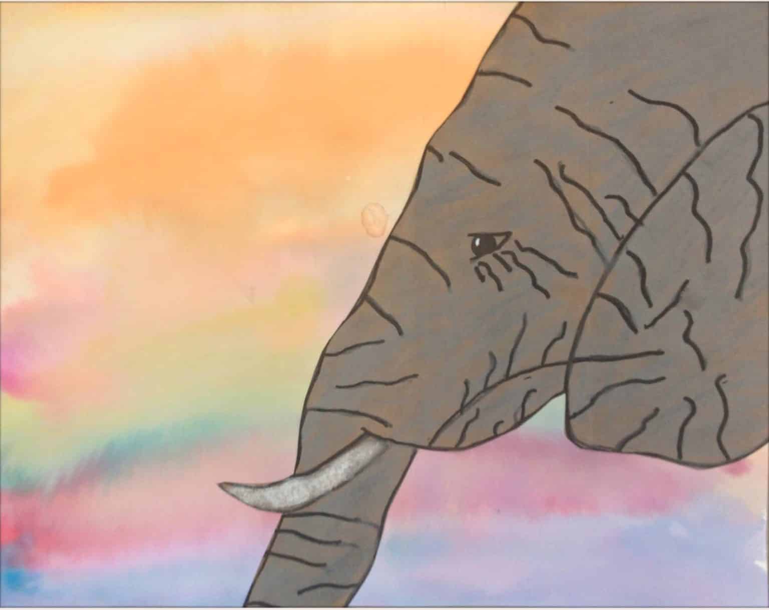 THE AFRICAN ELEPHANT – A KEYSTONE SPECIES | Kathy apRoberts