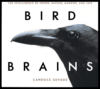 HELLO, CROW! | Kathy apRoberts