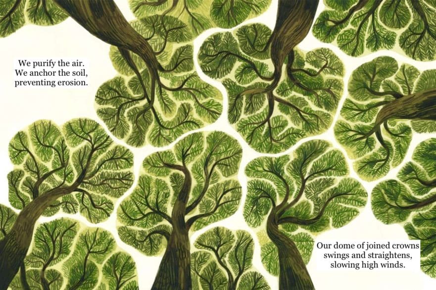 BE A TREE | Kathy apRoberts